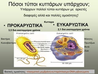 38728173-ΒΙΟΛΟΓΙΑ-Α-ΓΥΜΝΑΣΙΟΥ.ppt