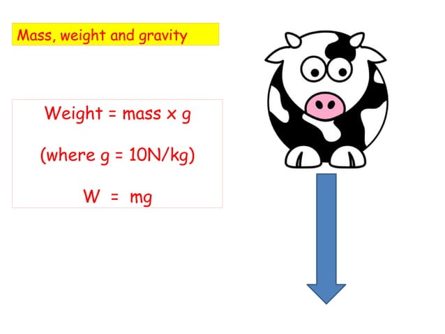 IGCSE Physics-3-Mass-and-Weight-pptx.pptx