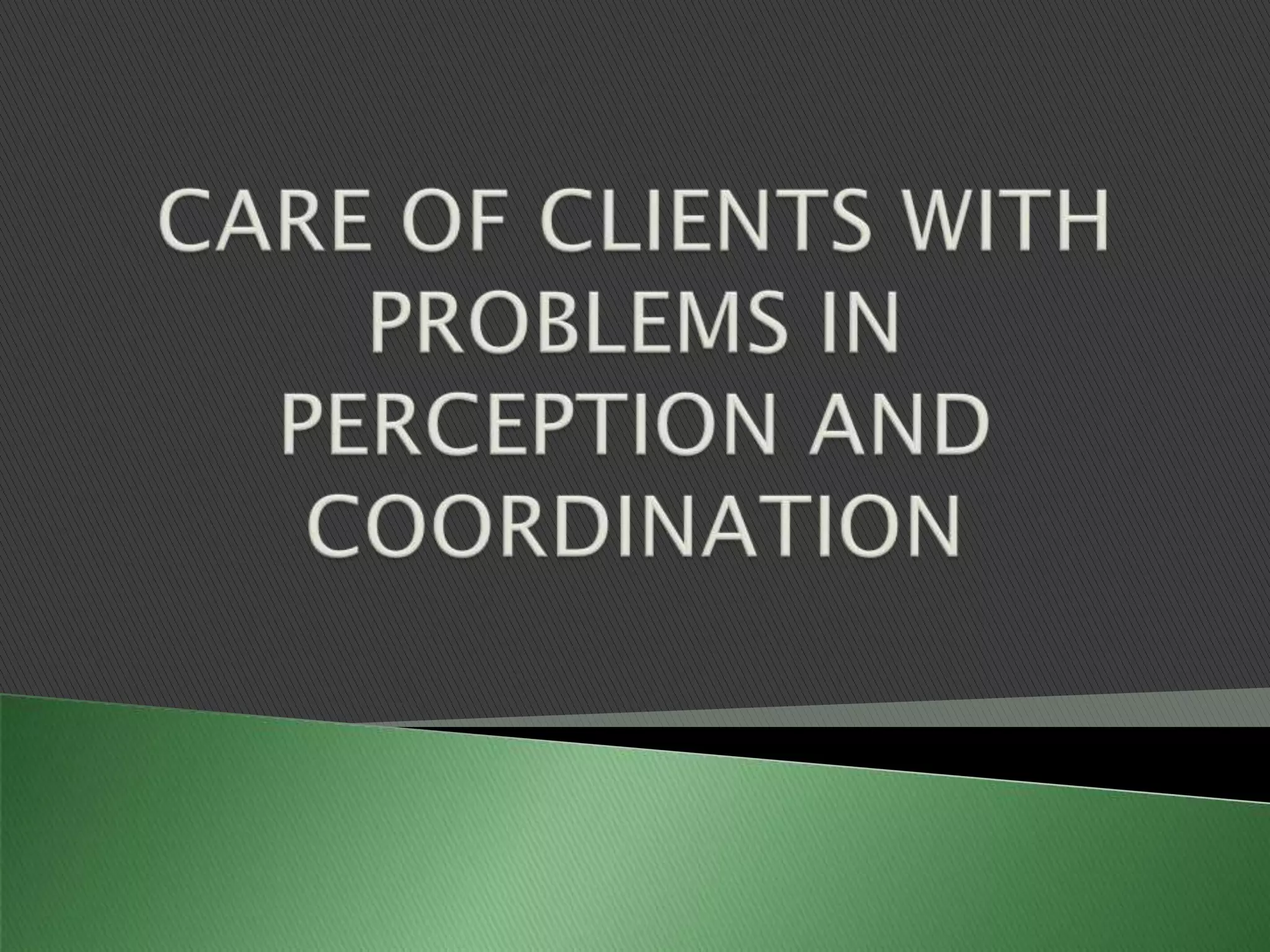 38824351 care-of-clients-with-problems-in-perception-and-coordination ...