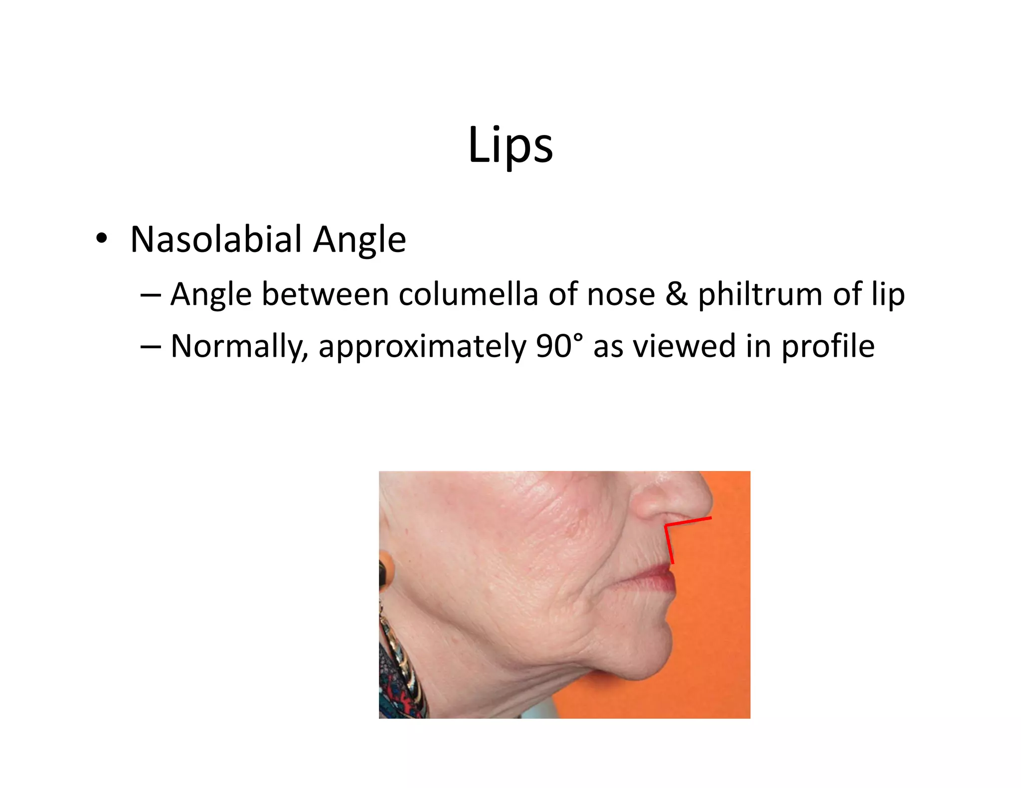 anatomy-for-complete-denture | PDF