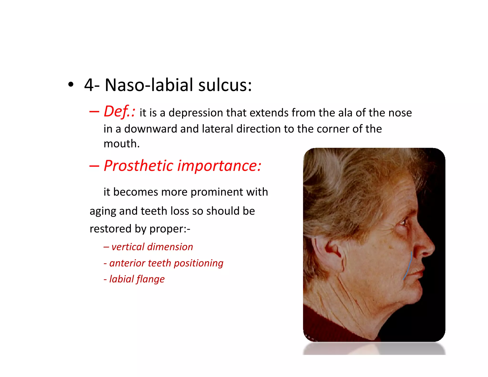 anatomy-for-complete-denture | PDF