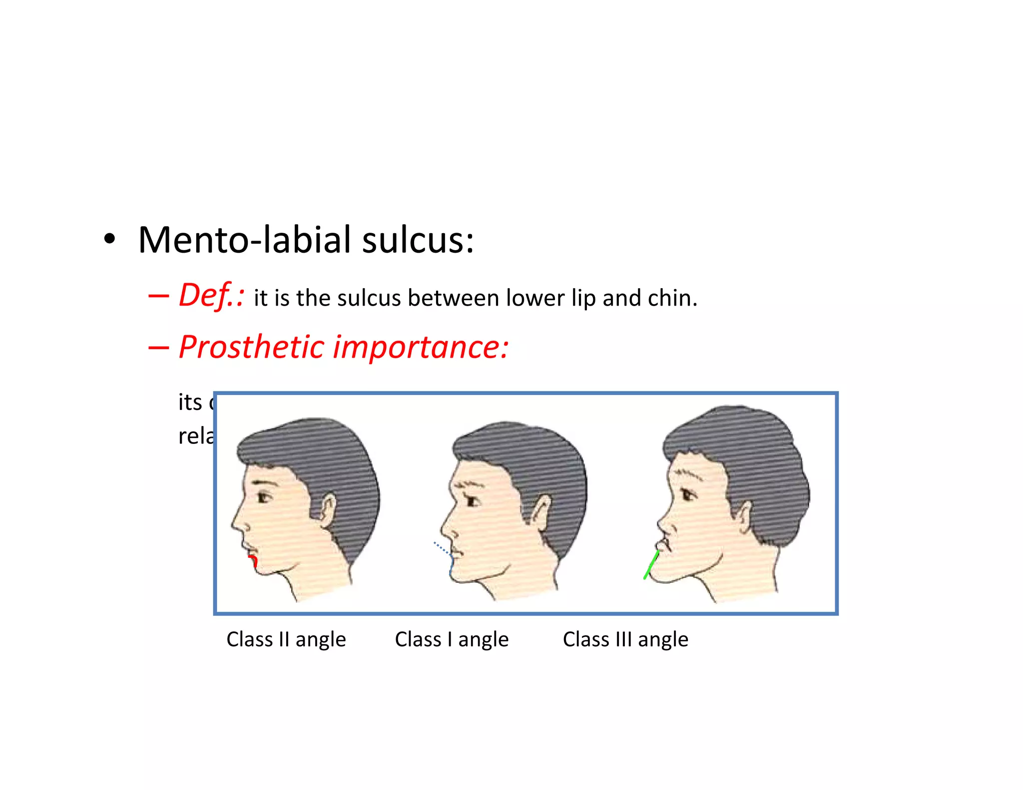 anatomy-for-complete-denture | PDF