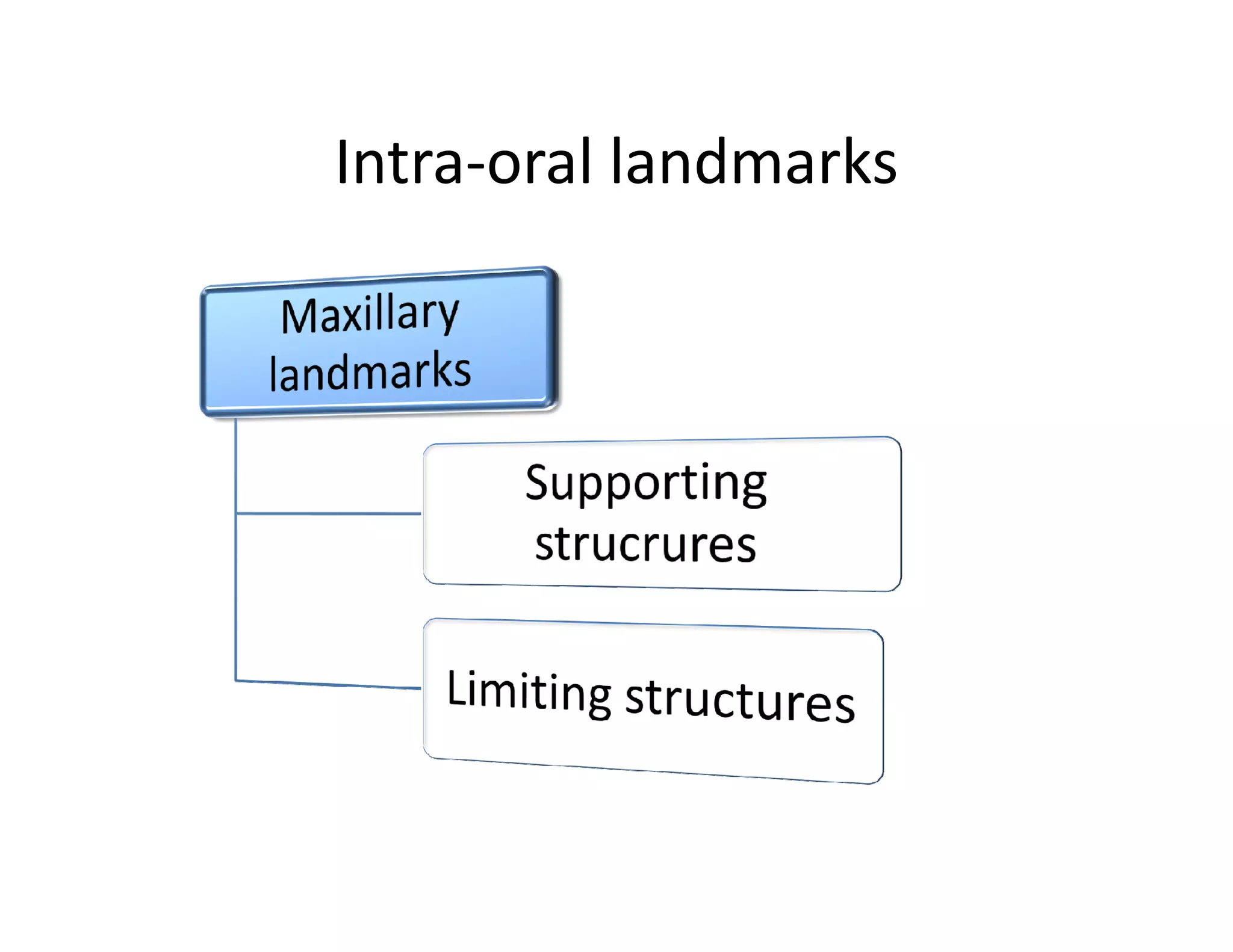 anatomy-for-complete-denture | PDF