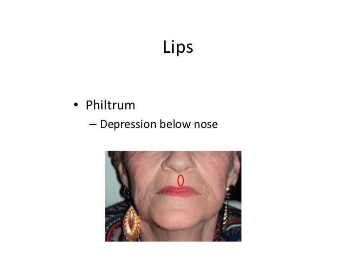 anatomy-for-complete-denture