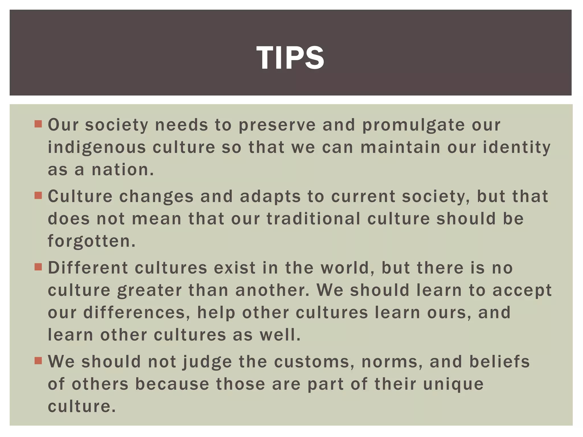 388437625-Aspects-of-Culture-and-Society-I-Dynamic-Flexible-Adaptable ...