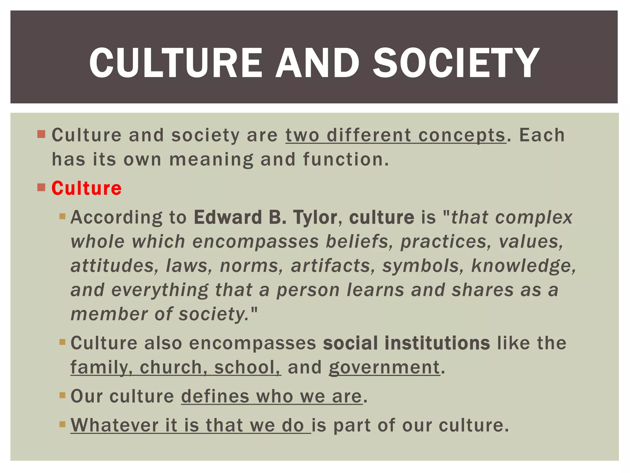 388437625-Aspects-of-Culture-and-Society-I-Dynamic-Flexible-Adaptable ...