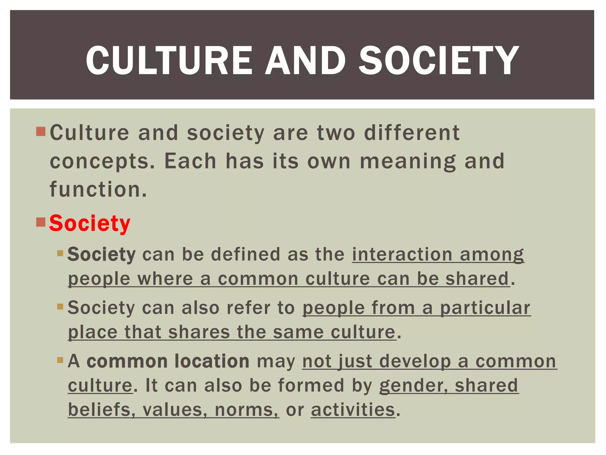 388437625-Aspects-of-Culture-and-Society-I-Dynamic-Flexible-Adaptable ...