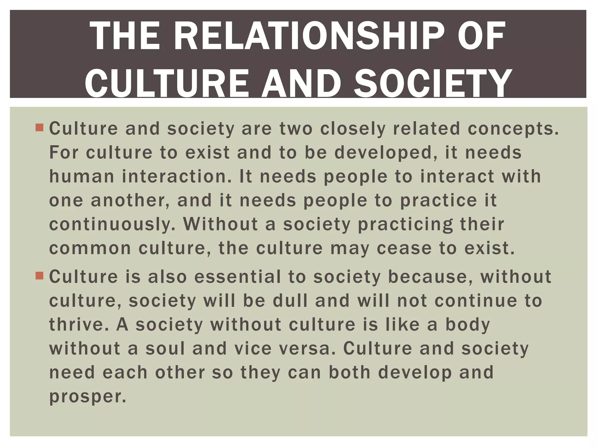 388437625-Aspects-of-Culture-and-Society-I-Dynamic-Flexible-Adaptable ...