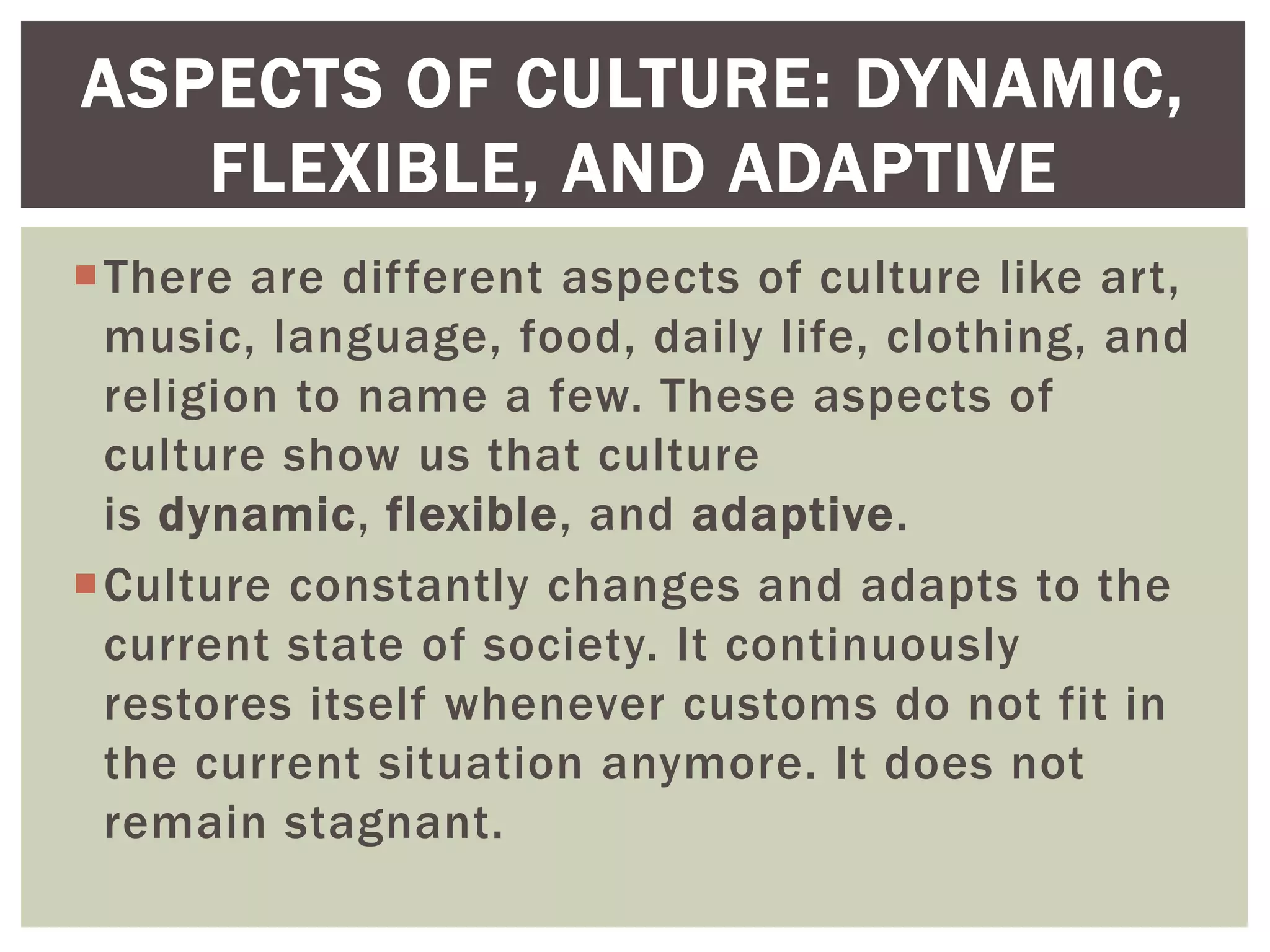 388437625-Aspects-of-Culture-and-Society-I-Dynamic-Flexible-Adaptable ...