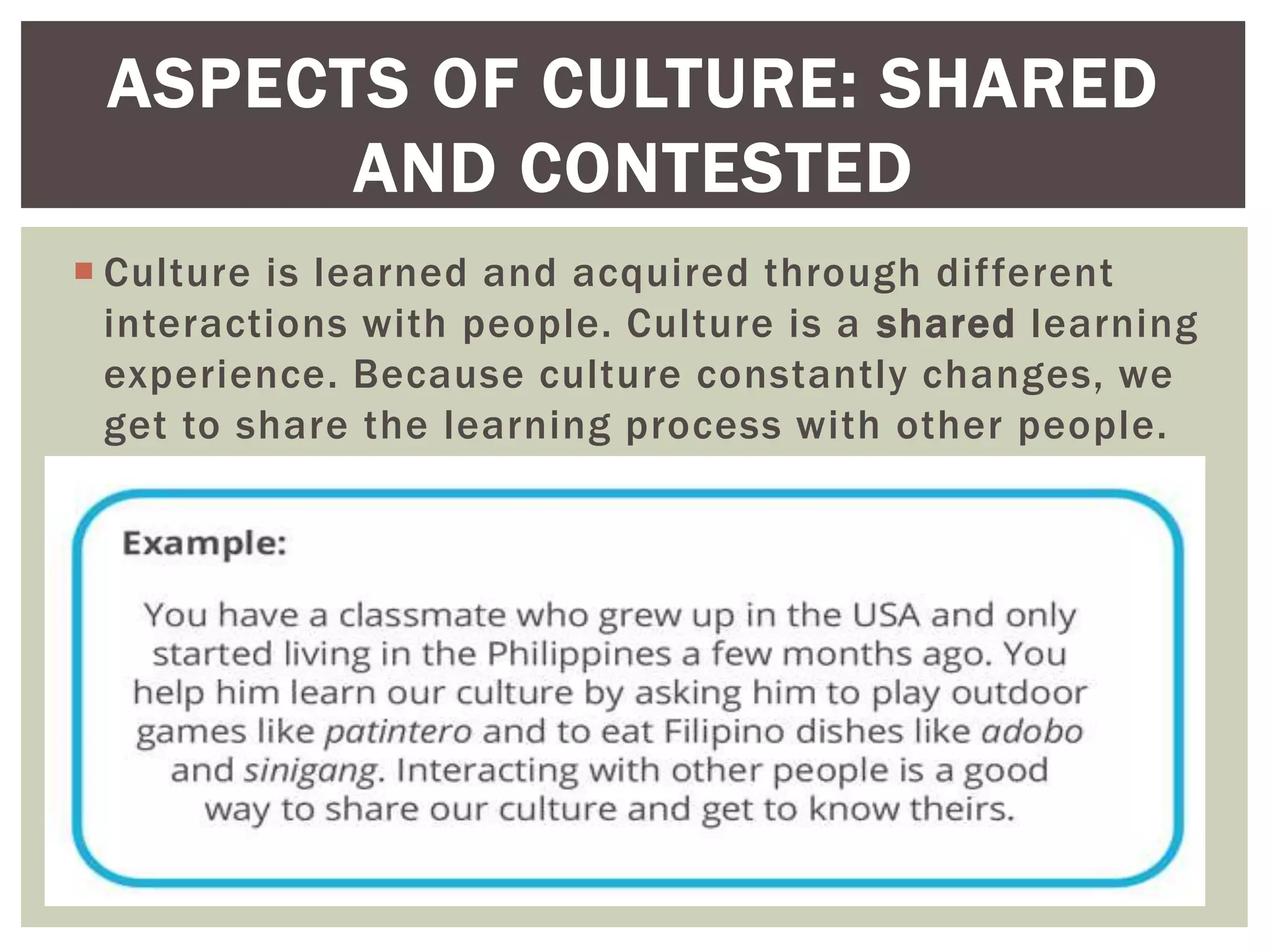 388437625-Aspects-of-Culture-and-Society-I-Dynamic-Flexible-Adaptable ...