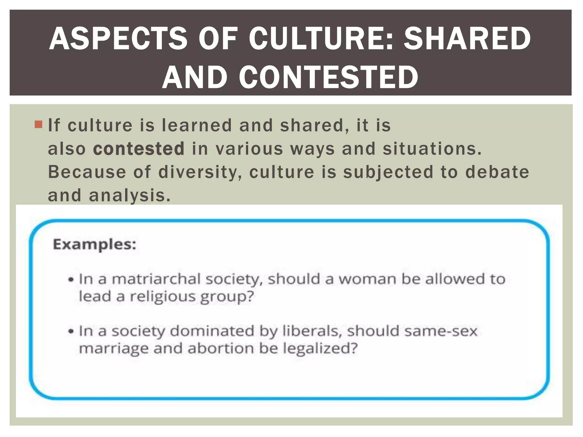 388437625-Aspects-of-Culture-and-Society-I-Dynamic-Flexible-Adaptable ...