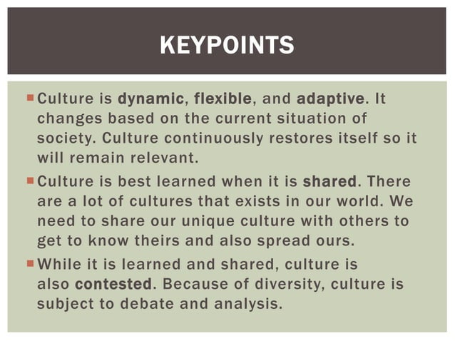 388437625-Aspects-of-Culture-and-Society-I-Dynamic-Flexible-Adaptable ...