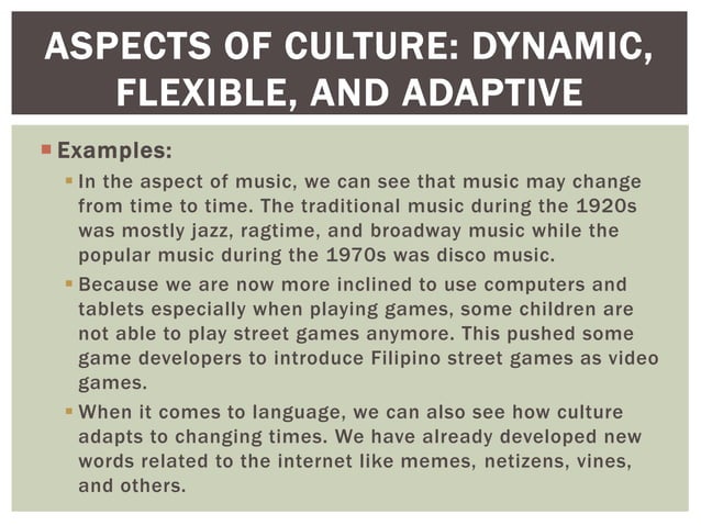 388437625-Aspects-of-Culture-and-Society-I-Dynamic-Flexible-Adaptable ...