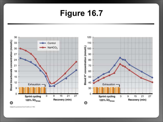 Ergonomic aids.ppt