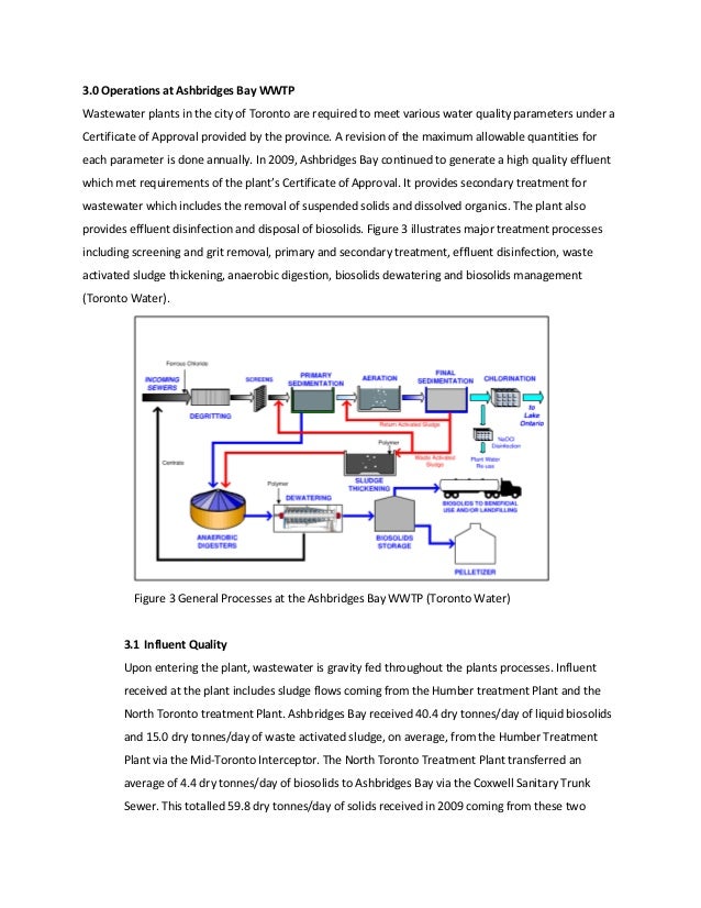 Formal Technical Report