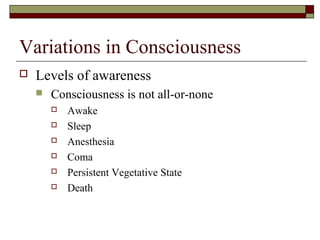Consciousness | PPT