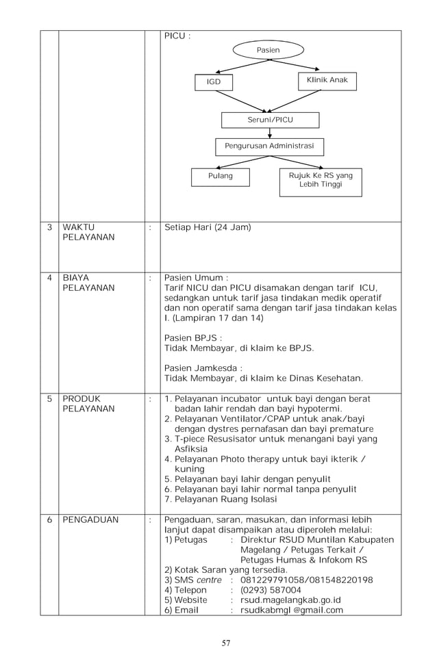 389902841-6-Standar-Pelayanan-Instalasi-NICU-Dan-PICU-1.pdf