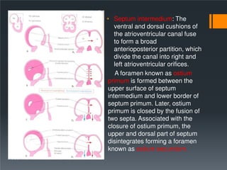 Manoja_Gullapalli_ug | PPT
