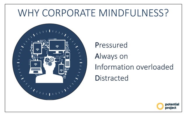 Introduction Slide Deck | PPT