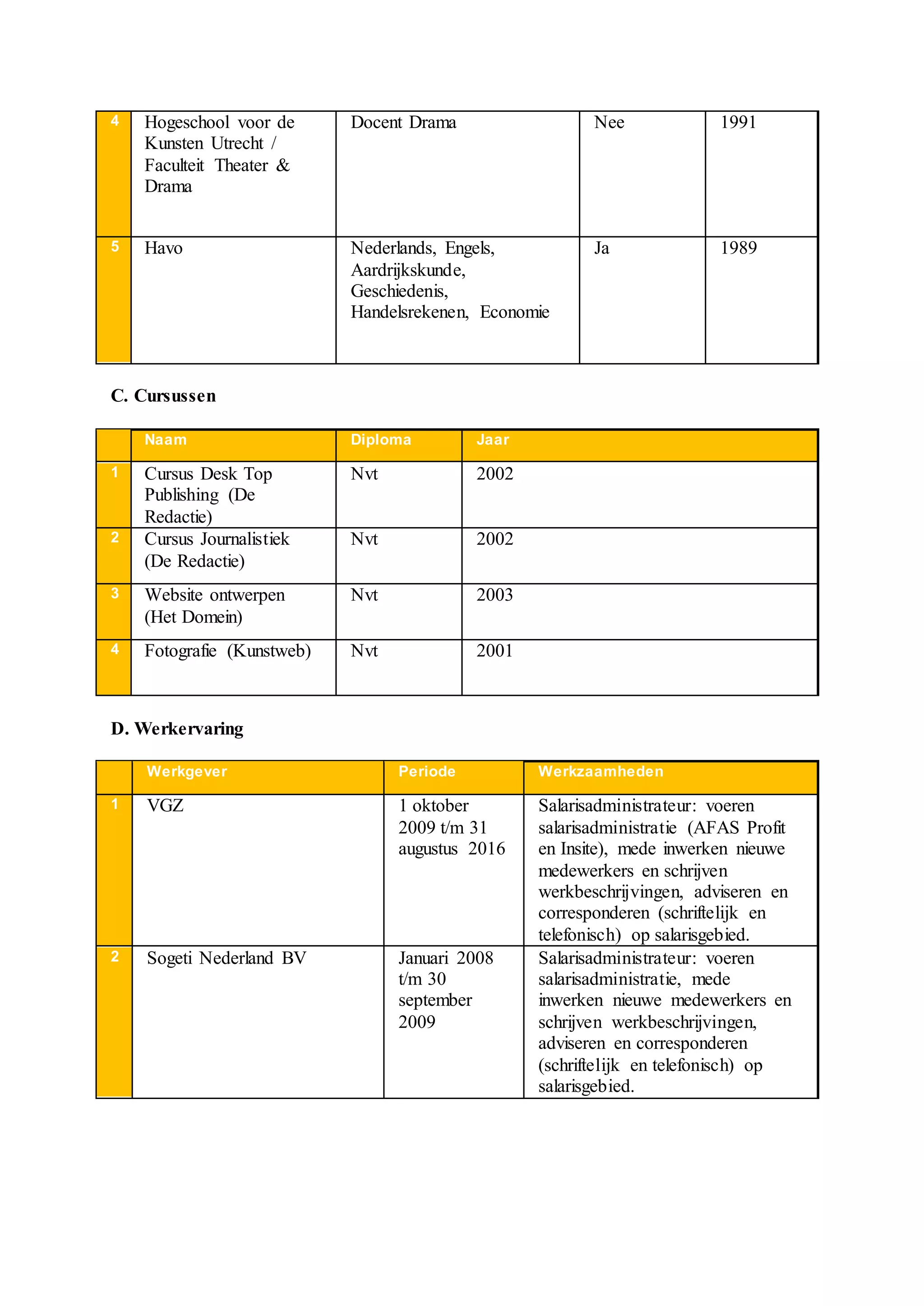 Curriculum Vitae Ruud de Jong | DOCX | Careers