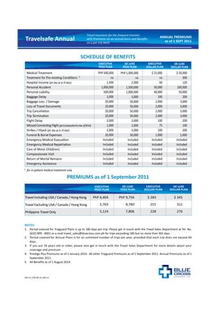 Travelsafe Brochure | PDF
