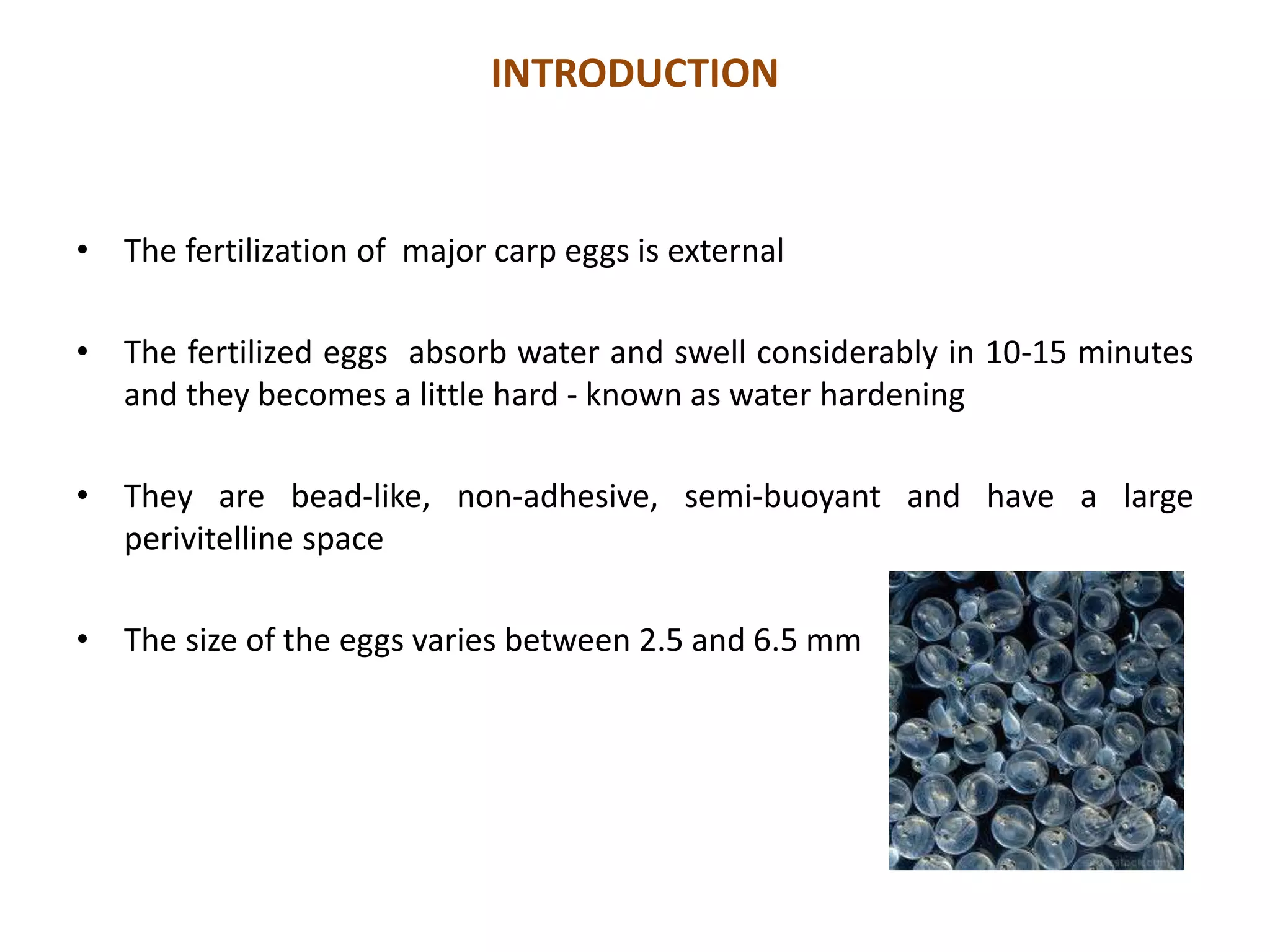 3_8_egg_and_embryonic_development.ppt