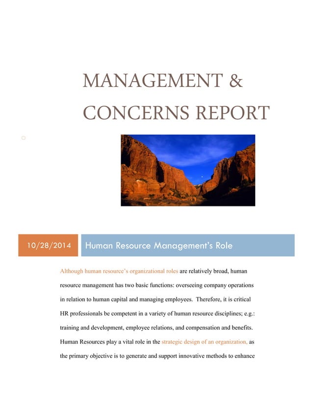 Management Report | PDF
