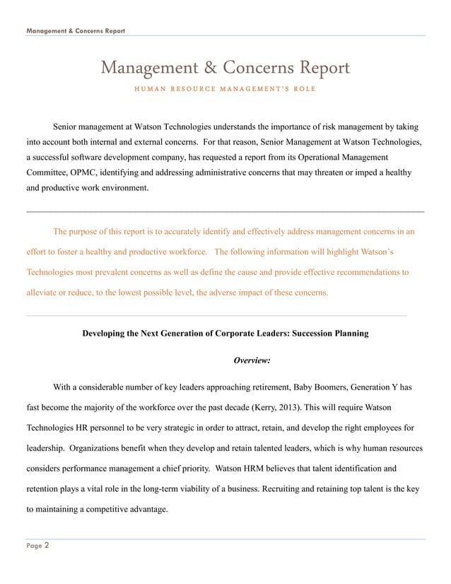 Management Report | PDF