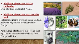 2-_Medicinal_plants_Cultivation_and_Preparation.pdf