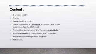 The Molecular Basis of Gene conversion ppt.pptx