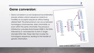 The Molecular Basis of Gene conversion ppt.pptx