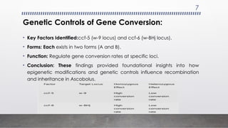 The Molecular Basis of Gene conversion ppt.pptx
