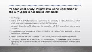 The Molecular Basis of Gene conversion ppt.pptx