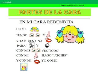 38 partes de la cara | PPTX