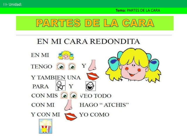 38 partes de la cara | PPT