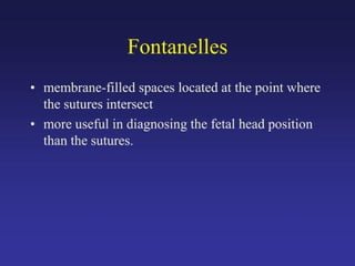 38 patch fetal and pelvic diameters.pptx