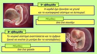 Η εγκυμοσύνη | PPT