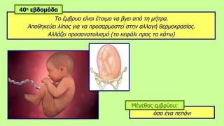 Η εγκυμοσύνη | PPT