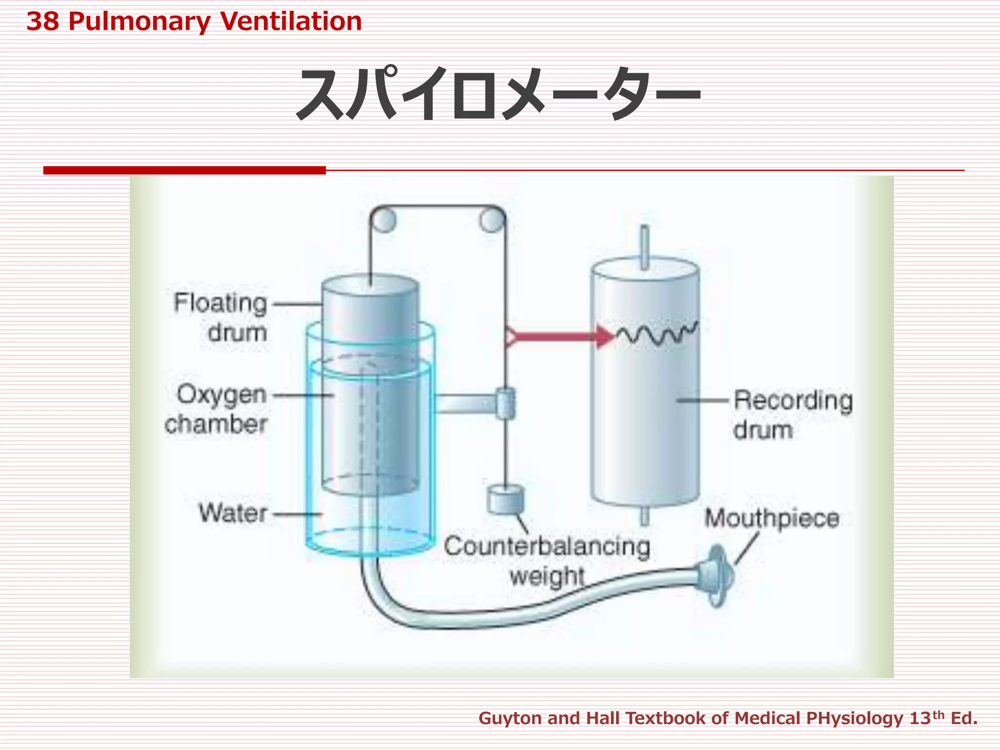 38 pulmonary ventilation | PPTX