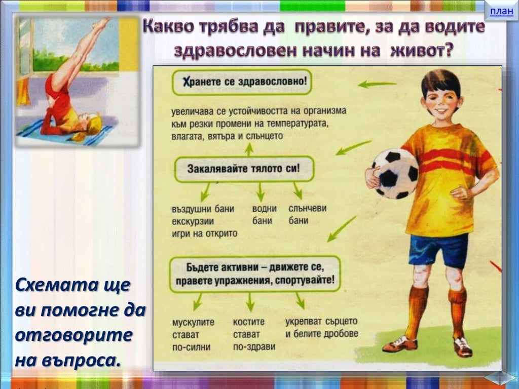 39 Здравословен начин на живот ЧП 4 клас Булвест
