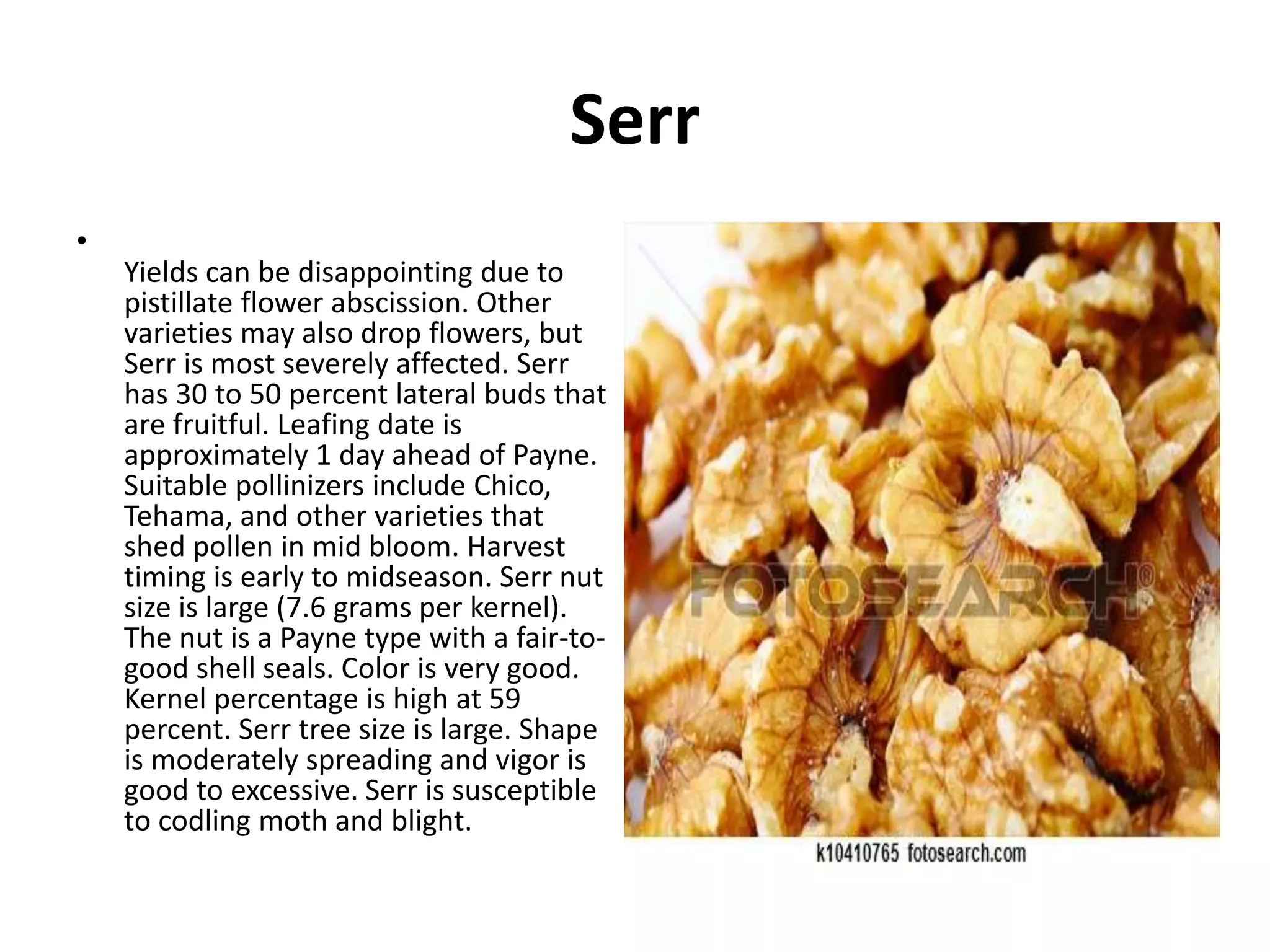 39. Walnut Varities in world By Allah Dad Khan | PPTX