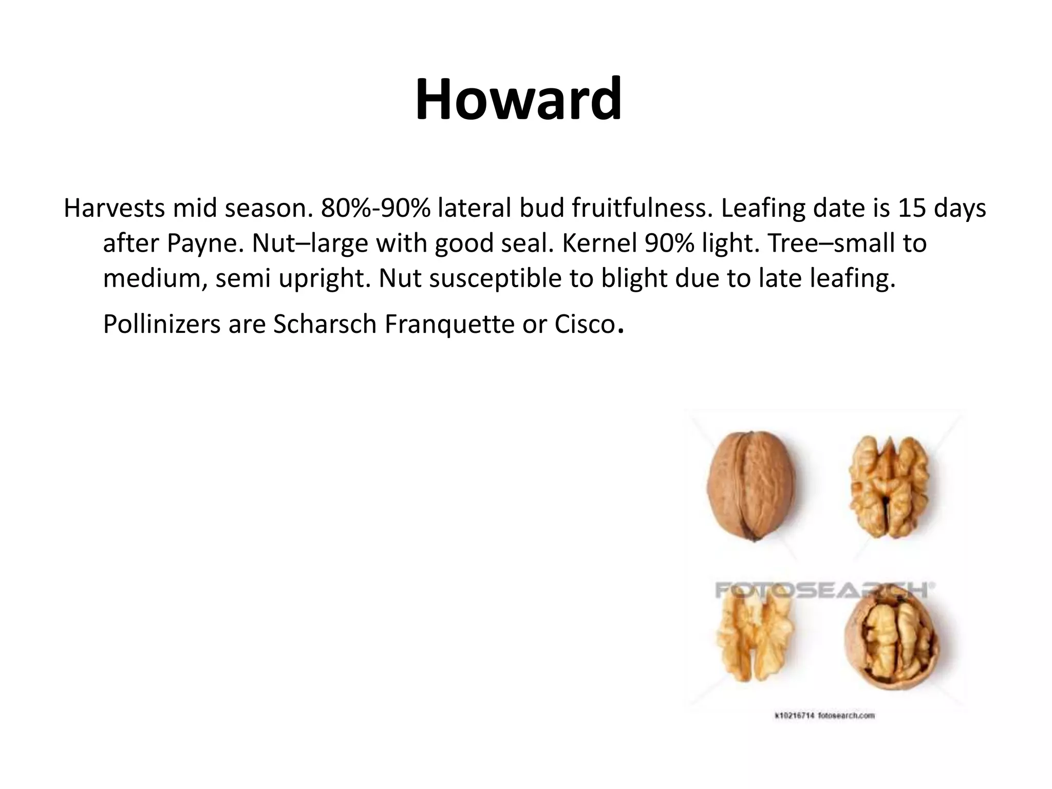 39. Walnut Varities in world By Allah Dad Khan | PPTX