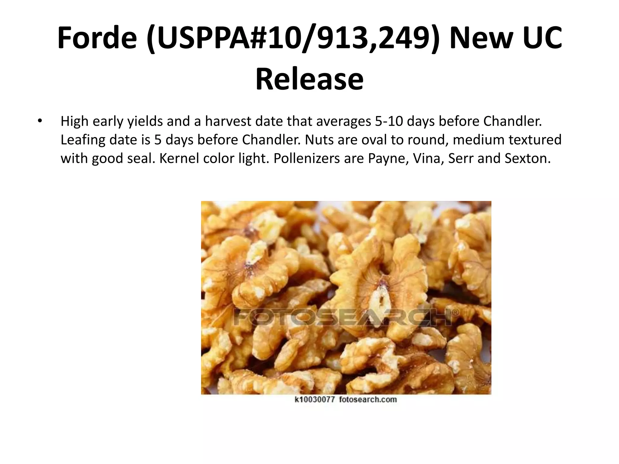 39. Walnut Varities in world By Allah Dad Khan | PPTX