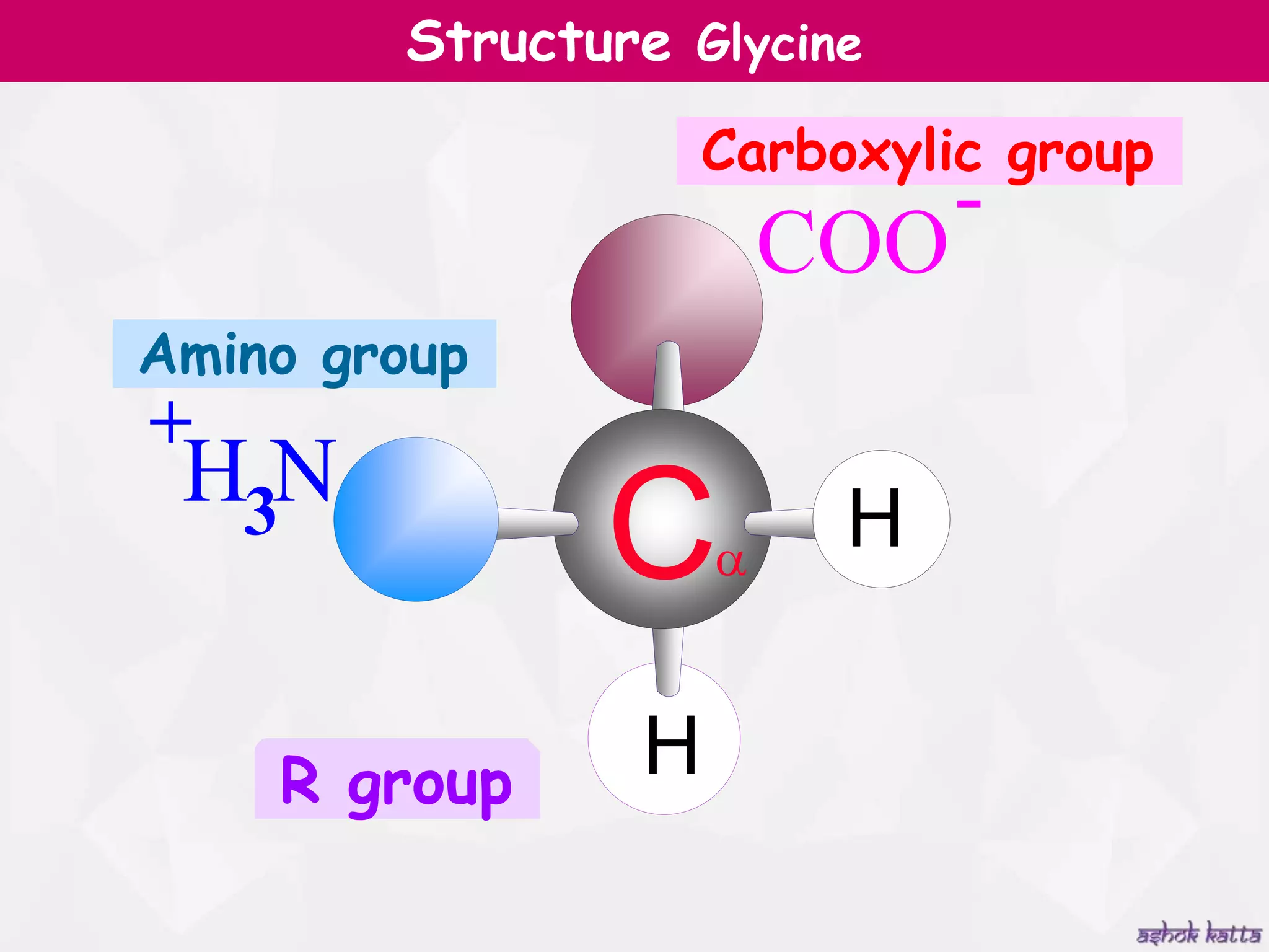 Metabolism of Glycine. . | PPSX