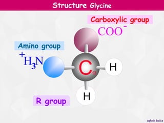 Metabolism of Glycine. . | PPSX