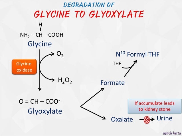 Metabolism of Glycine.