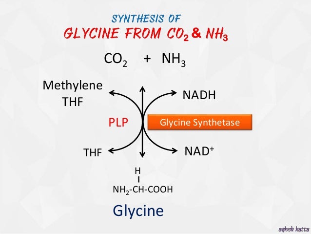 Metabolism of Glycine.