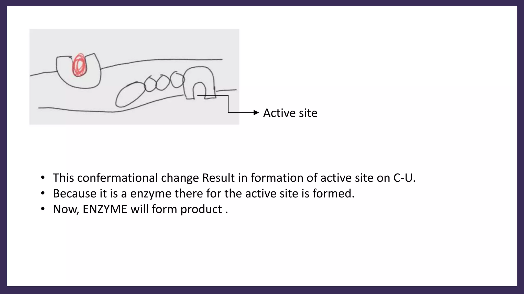 Mechanism of Peptide Hormone Action | PPTX