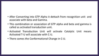 Mechanism of Peptide Hormone Action | PPTX
