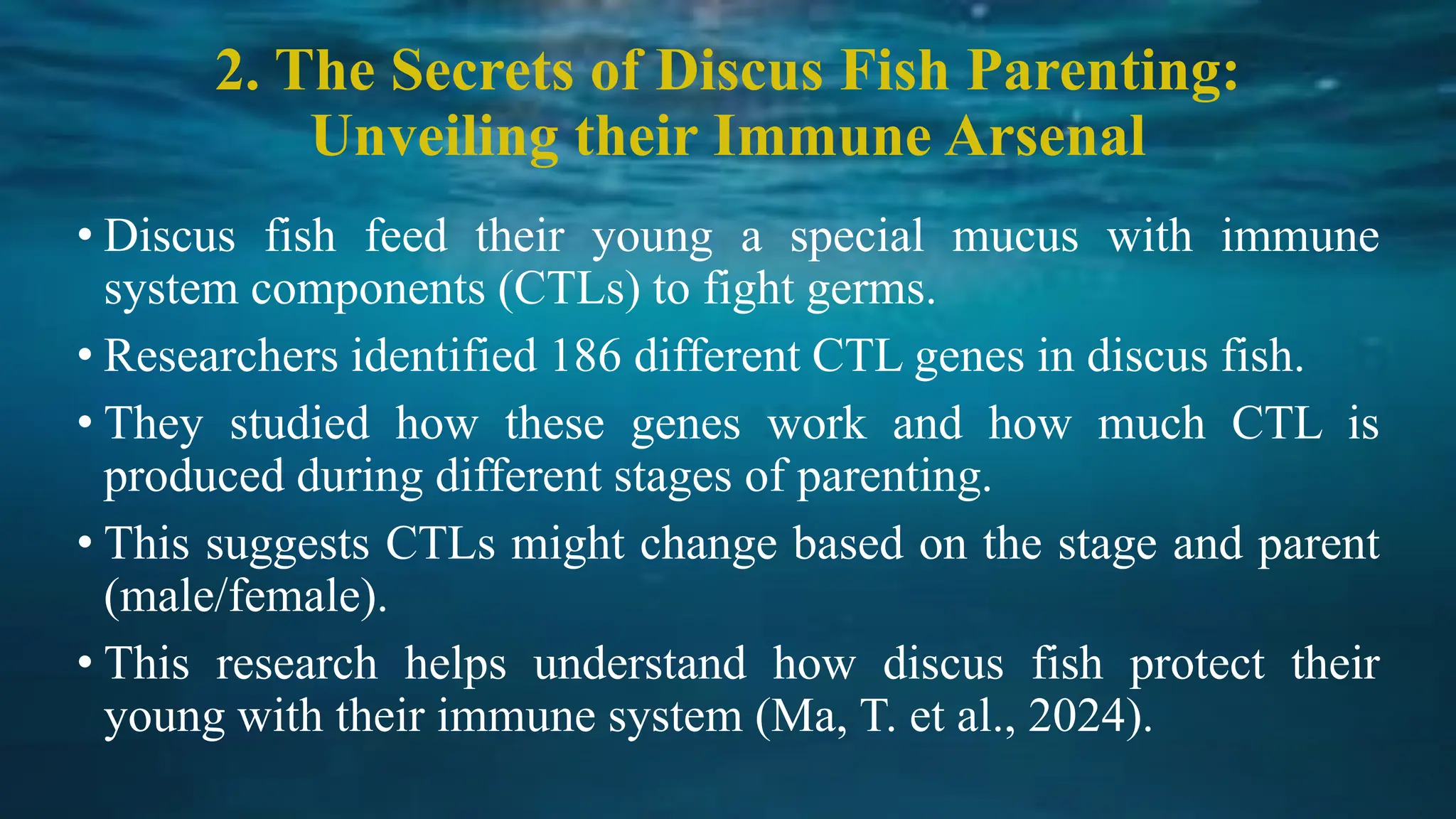 DISCUS FISH Introduction Morphology and its behaviour characteristics ...